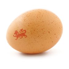 Eggs Free Range - Medium (British Lion Stamped)