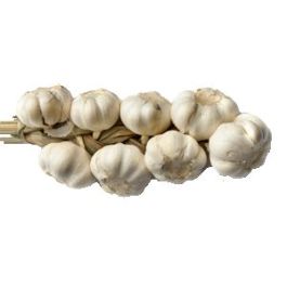 Garlic Rope