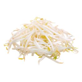 Bean Sprouts